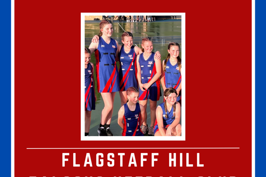 Home | Flagstaff Hill Netball Club